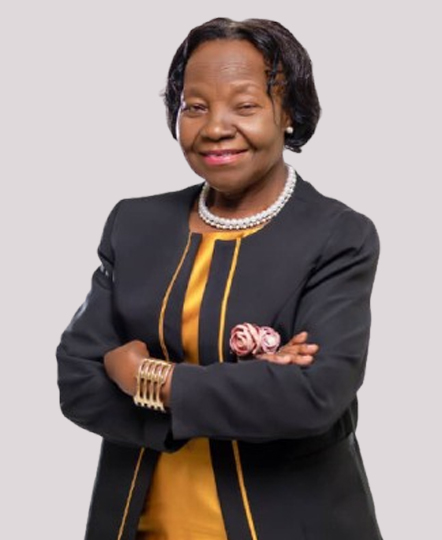 Home [www.africafreedommentors.org]